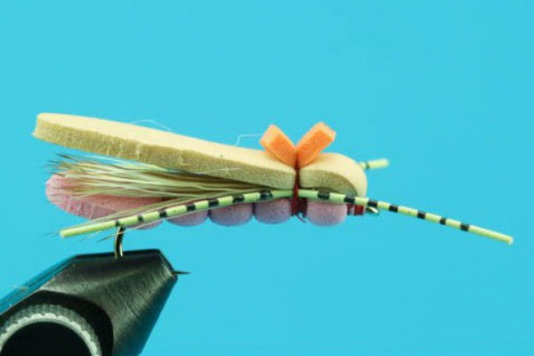 Pokey-Attractor Patterns-BigYFlyCo.com — Big Y Fly Co