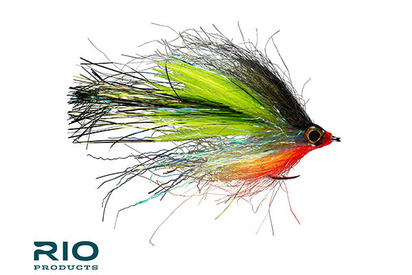 Rio's Princess Slaya--BigYFlyCo.com — Big Y Fly Co