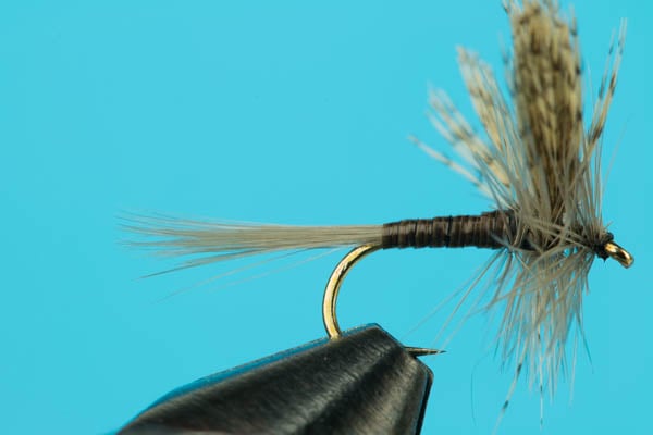 Quill Gordon-Hand Tied Flies-BigYFlyCo.com — Big Y Fly Co