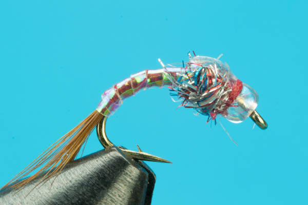 Rainbow Warrior-Premium Discount Flies-BigYFlyCo.com — Big Y Fly Co