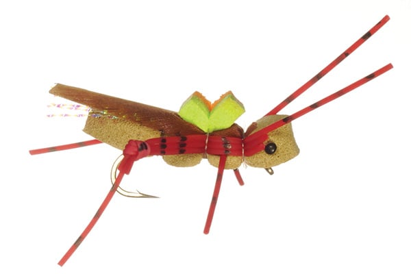 Red Legged Hi-Viz Hopper - Rainy's — Big Y Fly Co