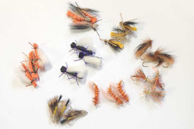 Salmonfly/Stonefly Dry Fly Assortment--24 Flies #44 — Big Y Fly Co
