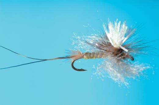 Sexy Hex Spinner (Glow in the Dark) - Solitude - Mayfly Dry Fly — Big Y ...
