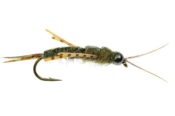 Skwala Stone Tungsten--Umpqua----BigYFlyCo.com — Big Y Fly Co