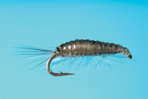 Soft Tex Scud - Solitude — Big Y Fly Co