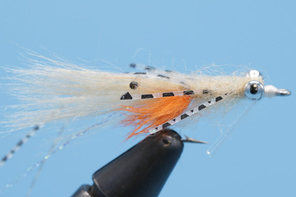 Spawning Mantis Shrimp-Saltwater Flies-BigYFlyCo.com — Big Y Fly Co