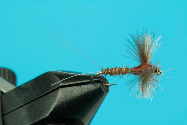 Spinner Rusty Biot-Quality Fishing Flies-BigYFlyCo.com — Big Y Fly Co