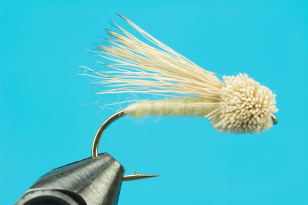 Spruce Moth-Discount Fishing Flies-BigYFlyCo.com — Big Y Fly Co