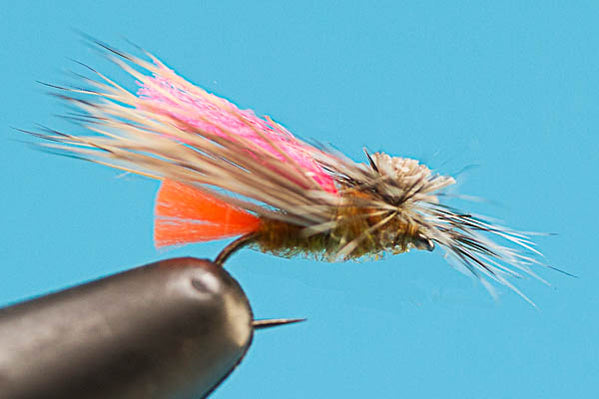 Caddis Adult — Big Y Fly Co