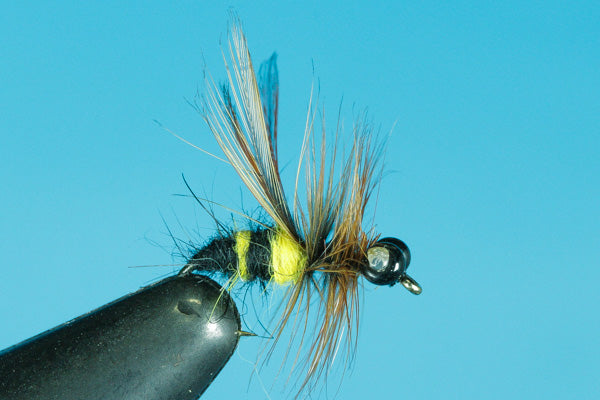 Yellow Jacket-Discount Trout Flies-BigYFlyCo.com — Big Y Fly Co