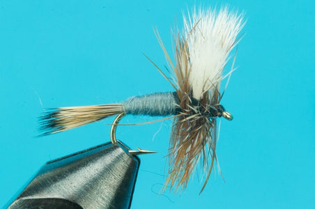 Adams Wulff White Wings-Quality Fishing Flies-BigYFlyCo.com — Big Y Fly Co