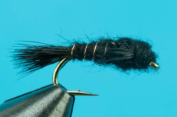 All Nymphs — Big Y Fly Co