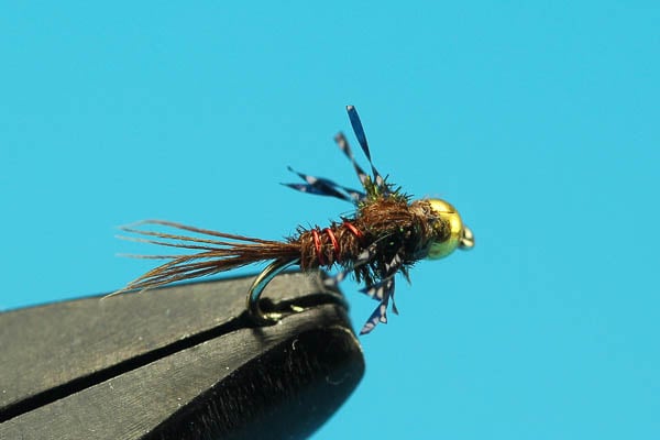 Atomic Pheasant Tail Beadhead-Trout Flies-BigYFlyCo.com — Big Y Fly Co