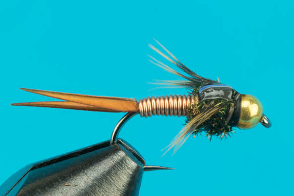 Euro Copper Zebra -Nymphs-BigYFlyCo.Com — Big Y Fly Co