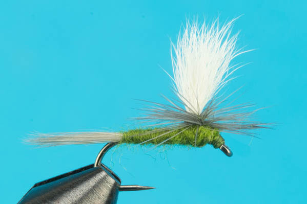 Big Y Fly Co® Best Selling Fly Fishing Flies-Since 2004-Discount Flies