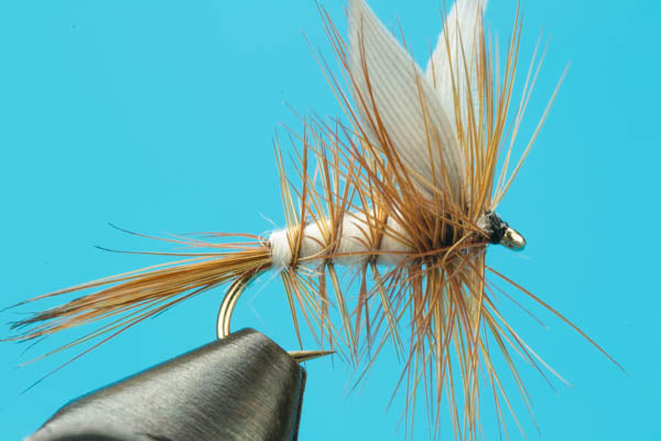 Beaverkill-Quality Dry Flies-BigYFlyCo.com — Big Y Fly Co