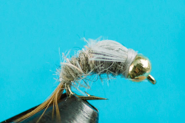 Beadhead Barr's Emerger Blue Dun--Trout Flies — Big Y Fly Co