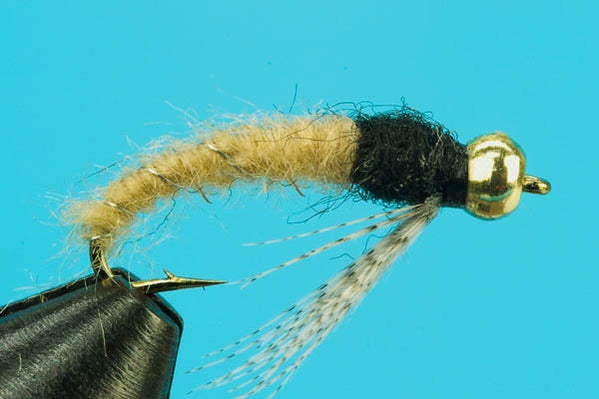 Caddis Larva & Pupa Flies – Subsurface Caddis Patterns | Big Y Fly Co