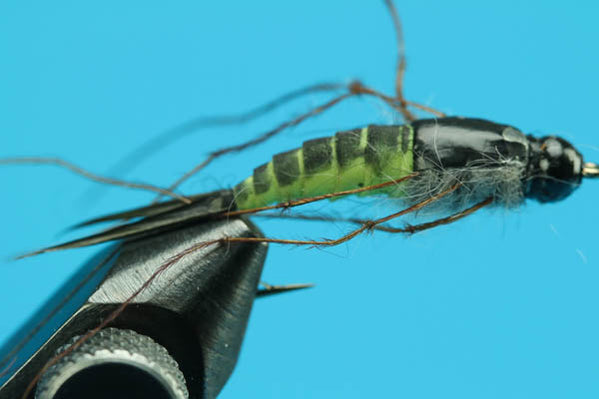 Big Y Fly Co® Best Selling Fly Fishing Flies-Since 2004-Discount Flies