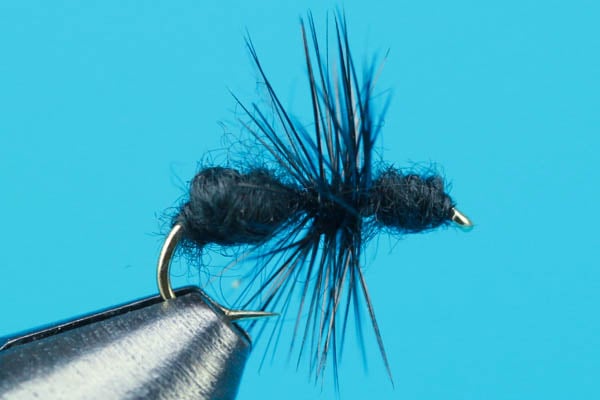 Ant-Fly Fishing Flies-BigYFlyCo.com — Big Y Fly Co