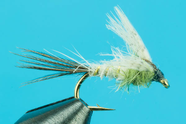 Blue Quill Nymph-Trout Fishing Flies-BigYFlyCo.com — Big Y Fly Co