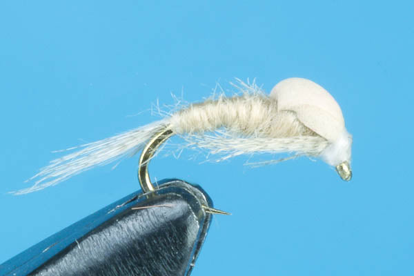 Callibaetis Foam Floating Nymph-Fishing Flies-BigYFlyCo.com — Big Y Fly Co