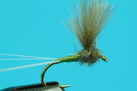 CDC Comparadun-Fishing Flies-BigYFlyCo.com — Big Y Fly Co