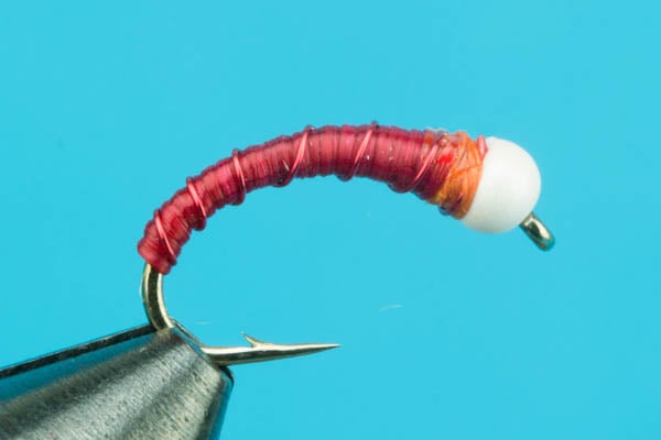 Chironomid Bomber--Tungsten-Premium Flies-BigYFlyCo.com — Big Y Fly Co