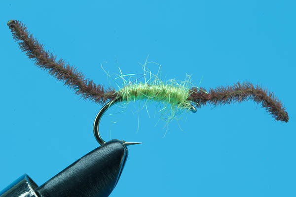 Dirty Worm-Discount Flies-BigYFlyCo.com — Big Y Fly Co