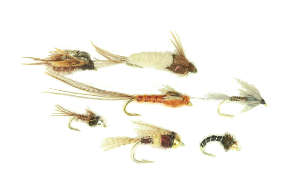 Eastern Nymph Assortment 48 Flies 25 — Big Y Fly Co 9273