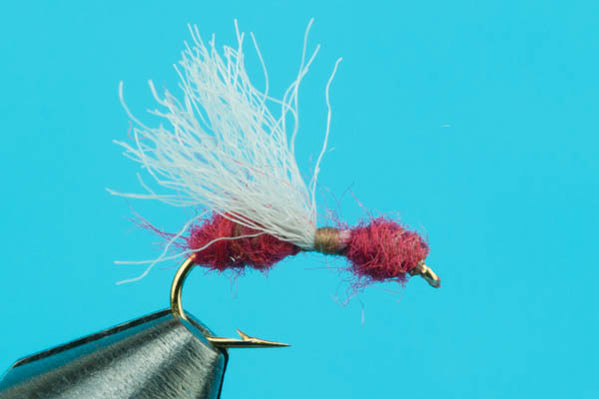 Alpine Ant-Fly Fishing Flies-BigYFlyCo.com — Big Y Fly Co