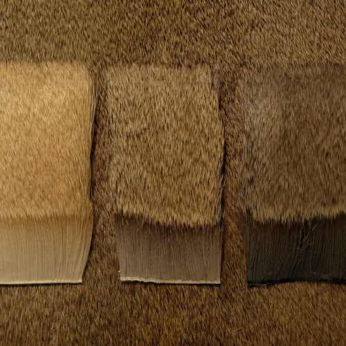 Hopper Deer Hair-Fly Tying-BigYFlyCo.com — Big Y Fly Co