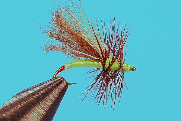 Hot Tamale-Premium Flies-BigYFlyCo.com — Big Y Fly Co