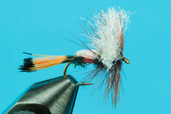 Humpy Foam Royal-Fly Fishing Flies-BigYFlyCo.com — Big Y Fly Co