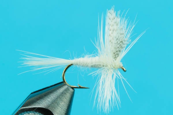 Light Cahill-Discount Fishing Flies-BigYFlyCo.com — Big Y Fly Co
