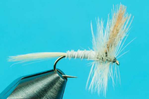 Light Cahill Biot-Dry Flies-BigYFlyCo.com — Big Y Fly Co