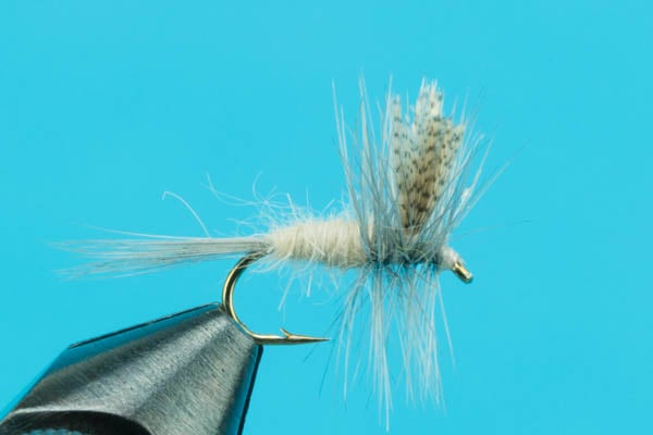 Light Hendrickson-Quality Flies-BigYFlyCo.com — Big Y Fly Co