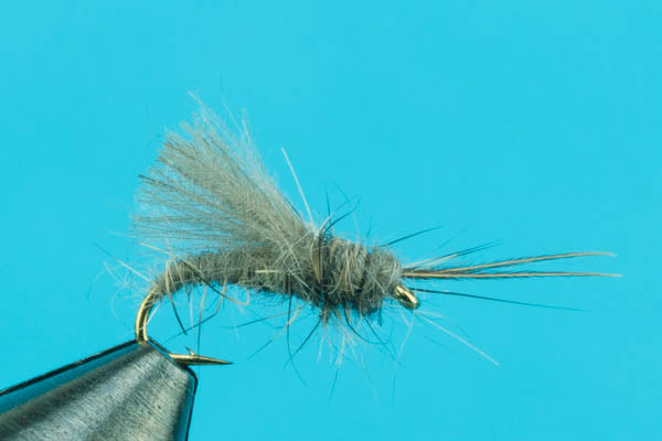 Little Caddis Thing-Hand Tied Flies-BigYFlyCo.com — Big Y Fly Co