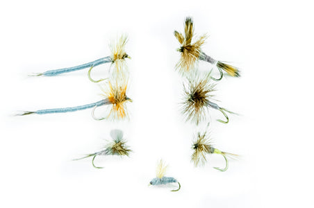 Adams Assortment-Discount Fishing Flies- Big Y Fly Co