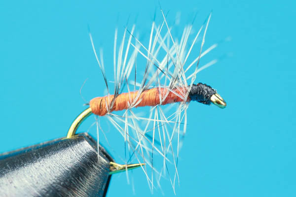 Orange Asher-Dry Flies-BigYFlyCo.com — Big Y Fly Co