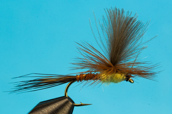 Parachute Brown Drake-Premium Flies-BigYFlyCo.com — Big Y Fly Co