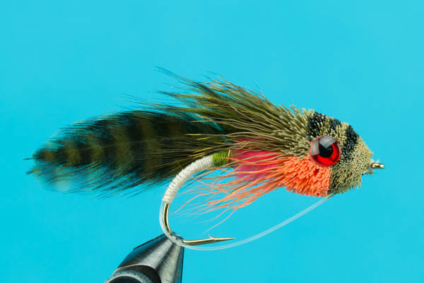 Rainbow Minnow — Big Y Fly Co