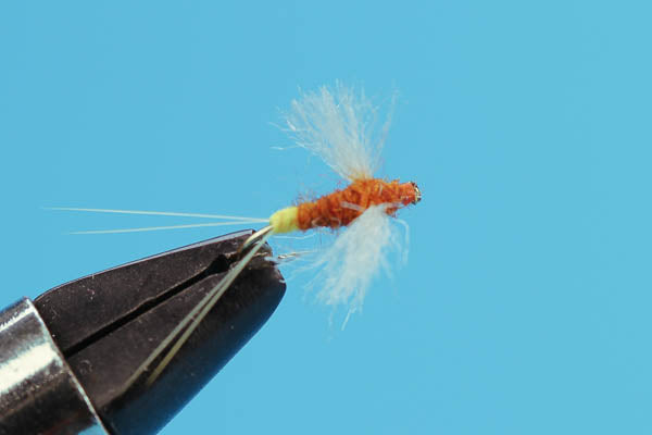 Rusty Spinner Egg Sack-Quality Fishing Flies-BigYFlyCo.com — Big Y Fly Co