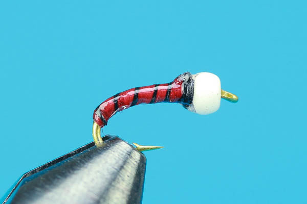 Snow Cone-Discount Fishing Flies-BigYFlyCo.com — Big Y Fly Co