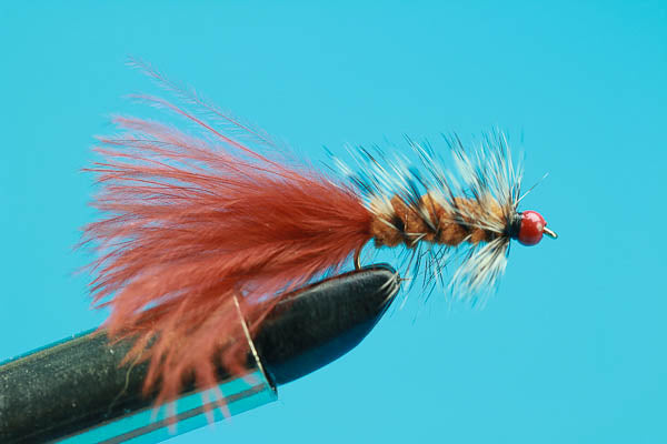 Strawberry Blonde Bugger-Bugger Patterns-BigYFlyCo.Com — Big Y Fly Co