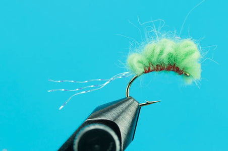 Sucker Spawn — Big Y Fly Co