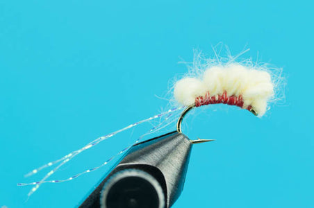 Sucker Spawn — Big Y Fly Co