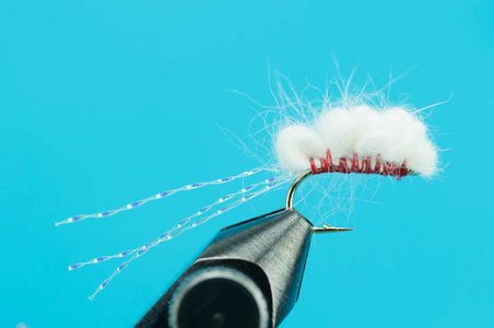 Sucker Spawn — Big Y Fly Co