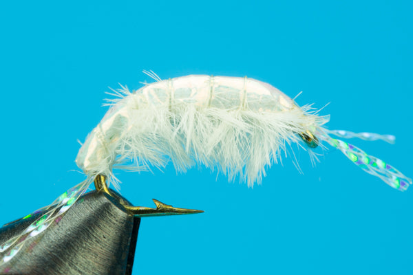 Translucent Scud-Freshwater Shrimp-BigYFlyCo.com — Big Y Fly Co