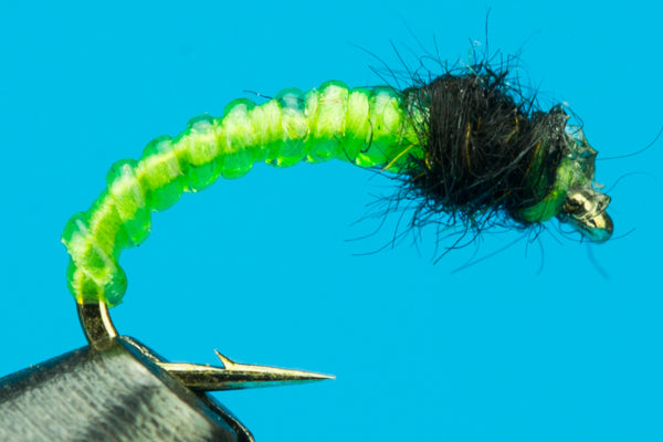 Willow Grub-Discount Flies-BigYFlyCo.com — Big Y Fly Co